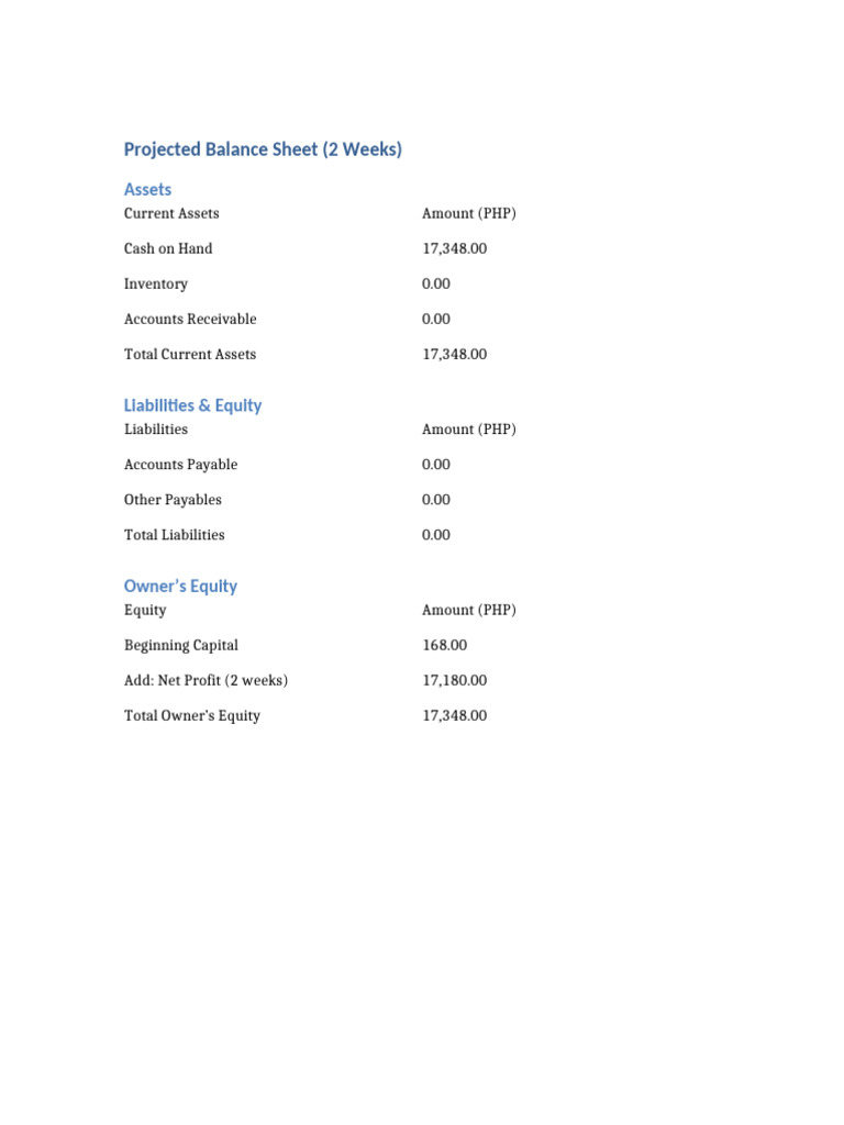 Projected Balance Sheet 2 Weeks | PDF