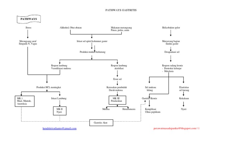 Pathways Gastritis