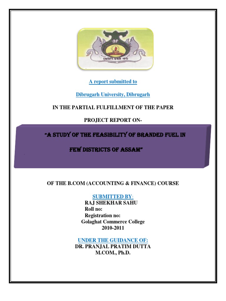 A Study of The Feasibility of Branded Fuel Final | PDF