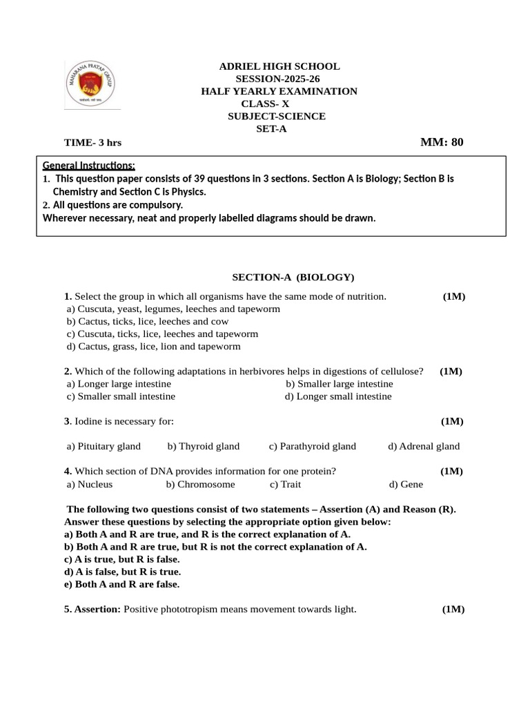 Class 10a Hye | PDF | Potassium | Chemistry