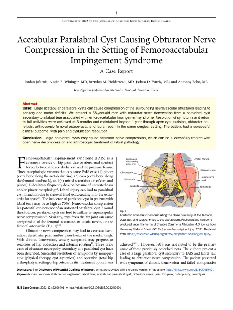 Acetabular Cyst and Obturator Nerve Compression | PDF | Hip | Clinical ...