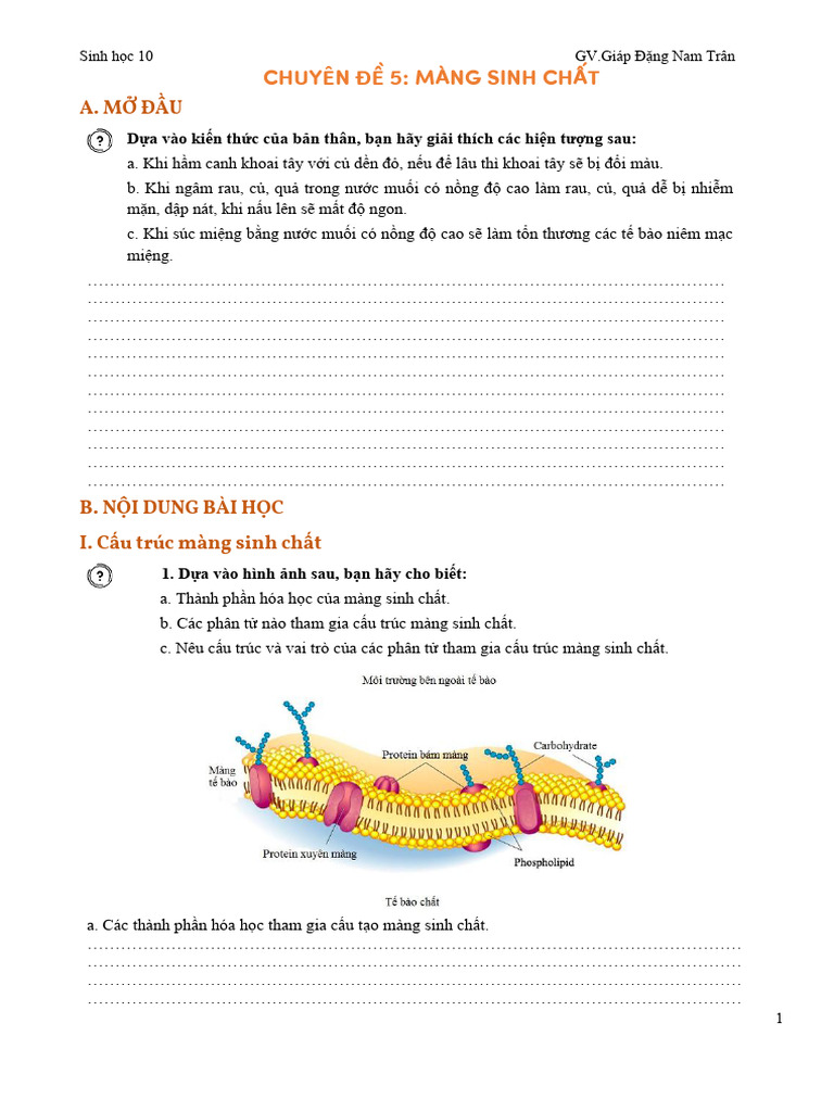1. Pht Mang Sinh Chat (3) | PDF