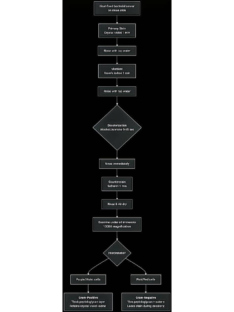Flow Chart | PDF