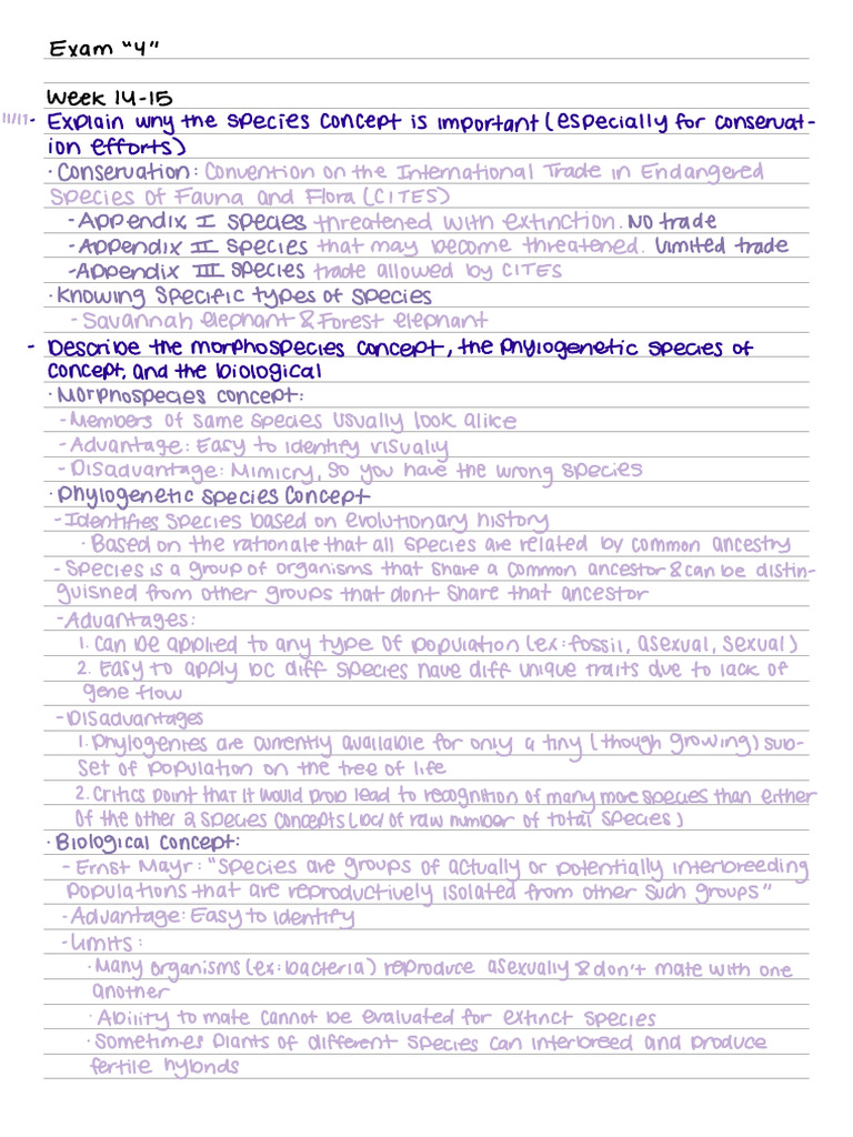 exam 4 | PDF