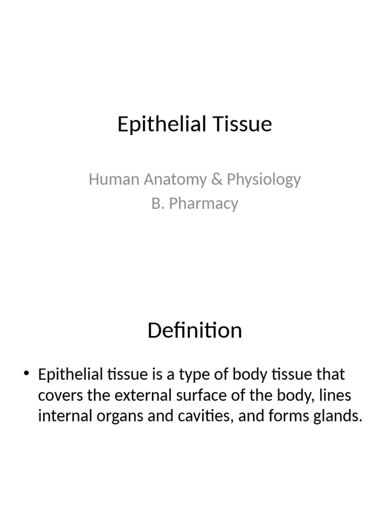 Epithelial_Tissue_ | PDF