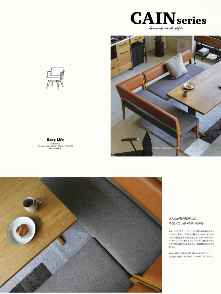 Crush Crash Project_Cain Series | PDF