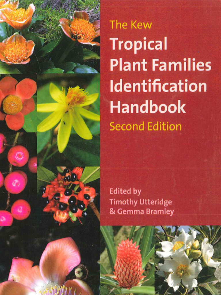 The Kew Tropical Plant Families Identification Handbook (105%) | PDF