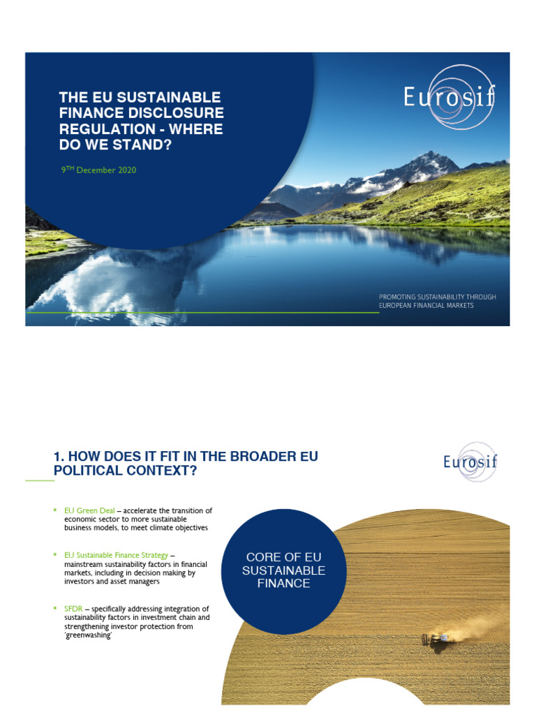 Eurosif EU Sustainable Finance Disclosure Regulation (2020) | PDF ...