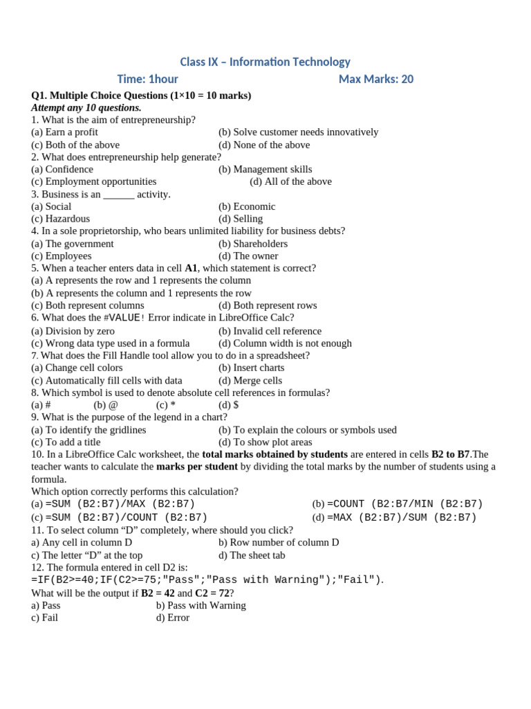 Class IX Information Technology Exam Guide | PDF | Spreadsheet | Worksheet
