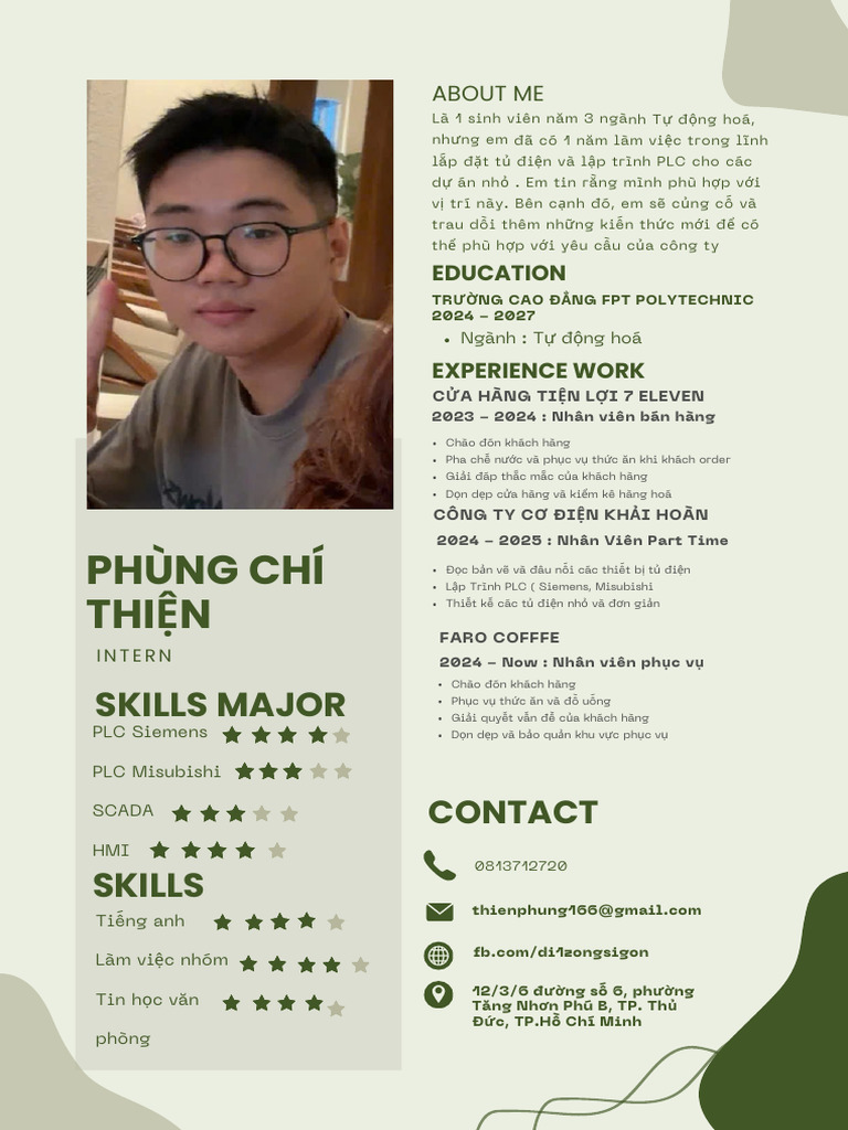 CV Intern Phung Chi Thien | PDF