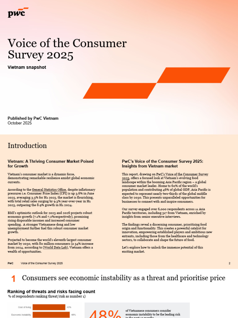 Vietnam Consumer Insights 2025 Survey | PDF | Cost Of Living | Retail