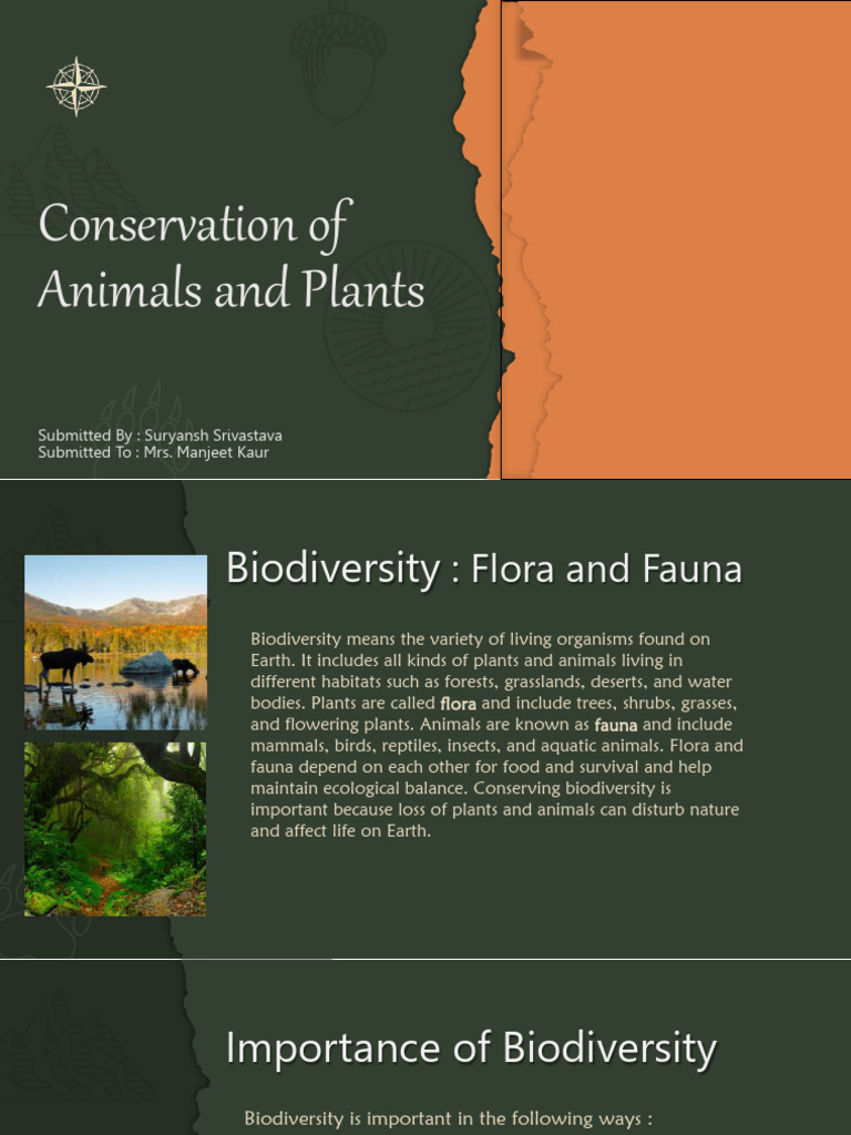 Conservation of Animals and Plants (1) | PDF | Biodiversity ...