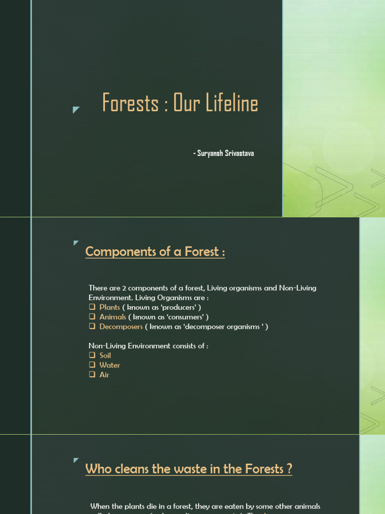 Forests | PDF | Forests | Soil