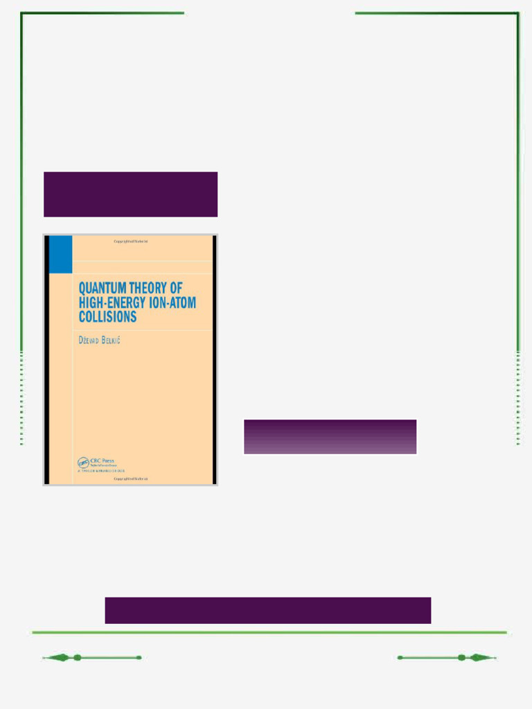 Quantum Theory of High Energy Ion Atom Collisions 1st Edition Dzevad ...