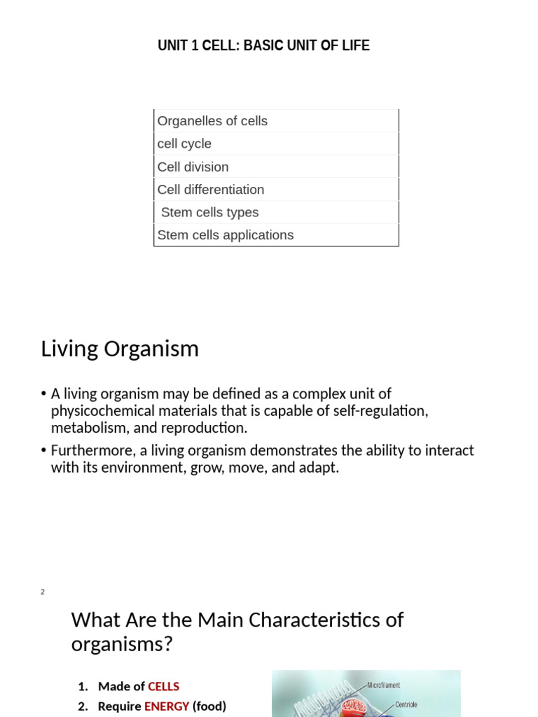 Biology Unit 1 | PDF | Endoplasmic Reticulum | Meiosis