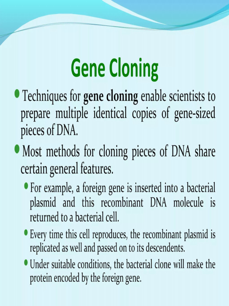 Gene cloning | PDF