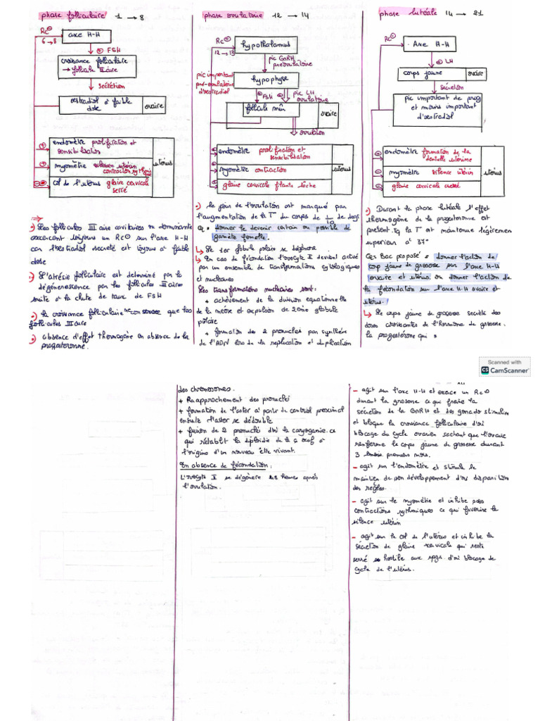 Femme - Proc Rev | PDF