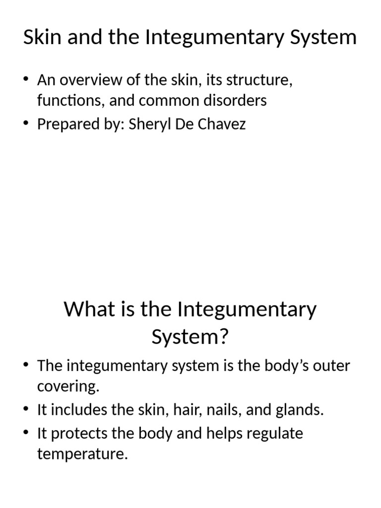 Skin and the Integumentary System | PDF