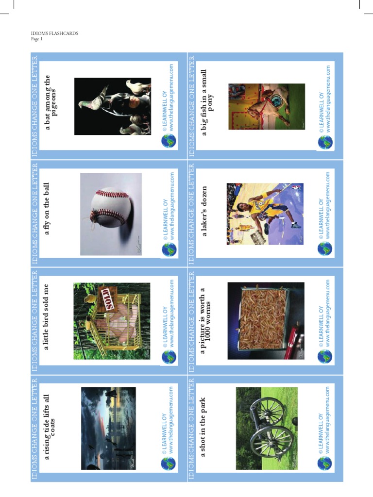 Idioms Text and Pictures LW Flashcards | PDF | Nature