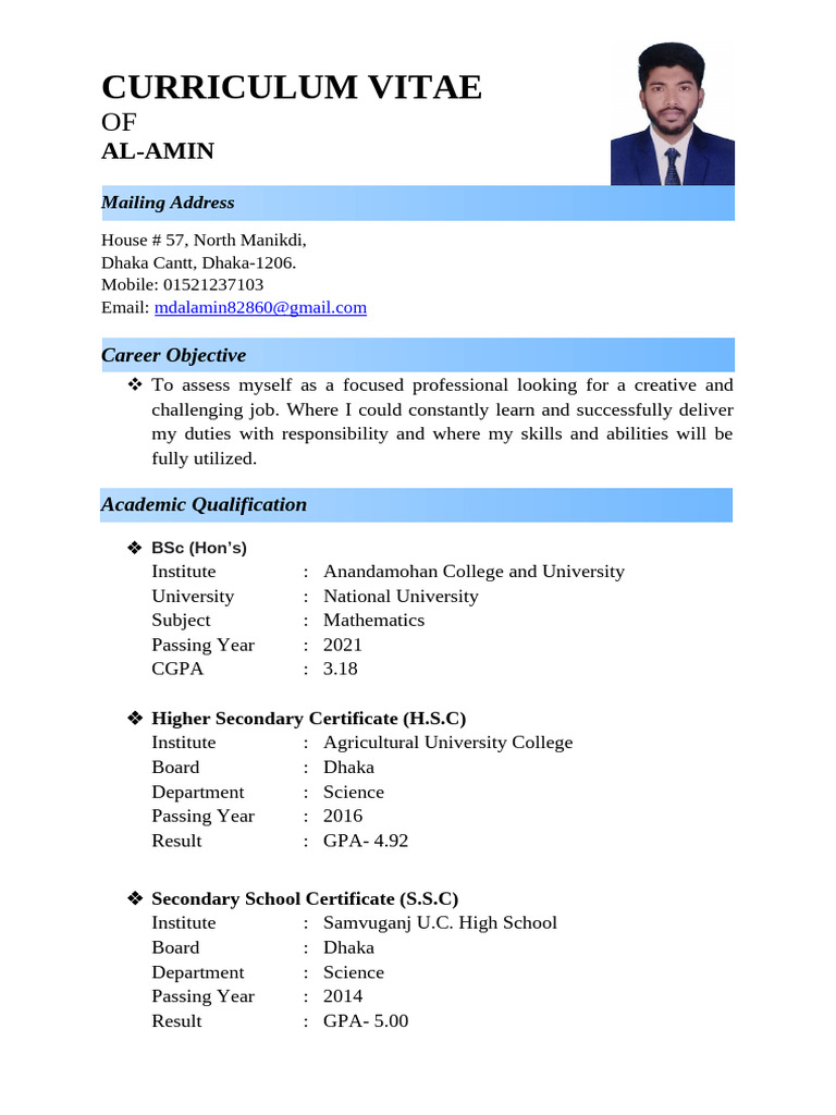 Al-Amin's Professional CV | PDF
