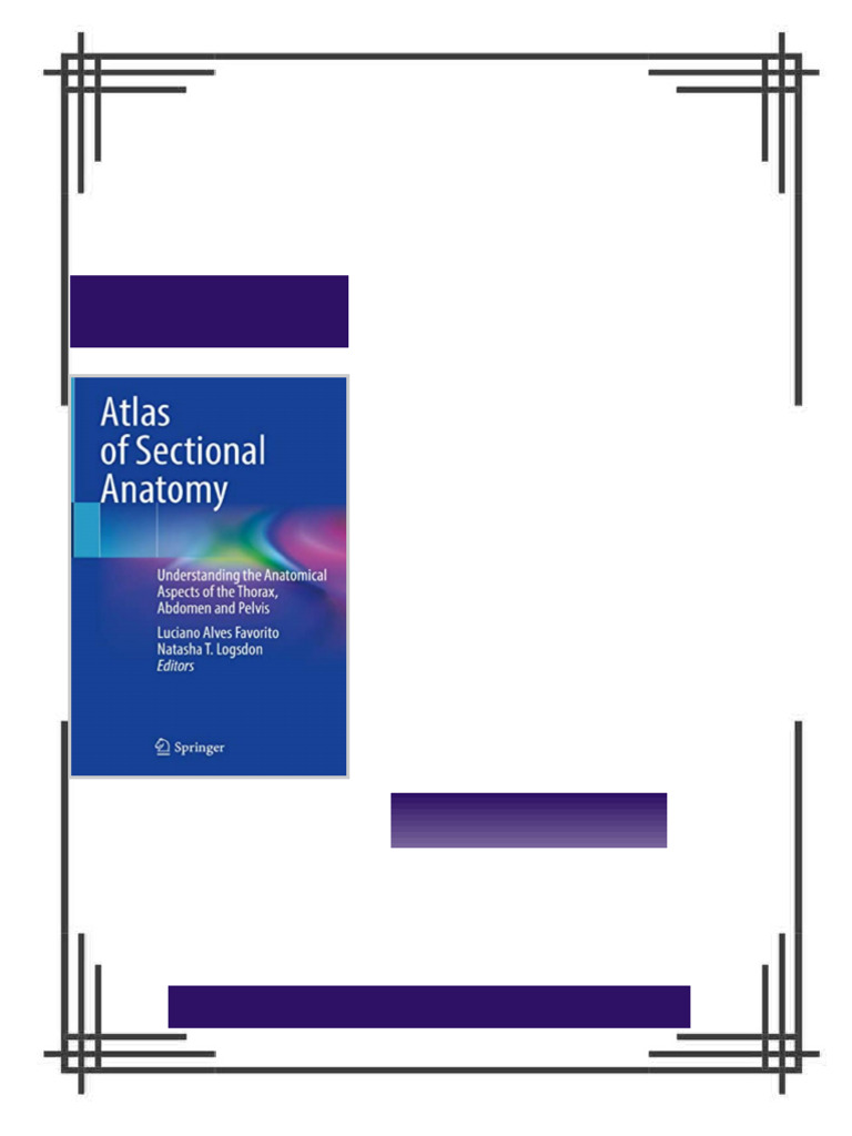Atlas of Sectional Anatomy Understanding the Anatomical Aspects of the ...