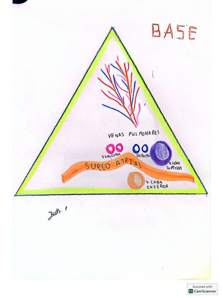 Corazón caras | PDF