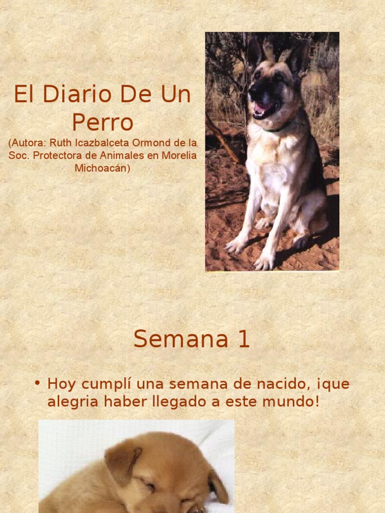 El Diario de Un Perro | PDF | Perros | Ocio