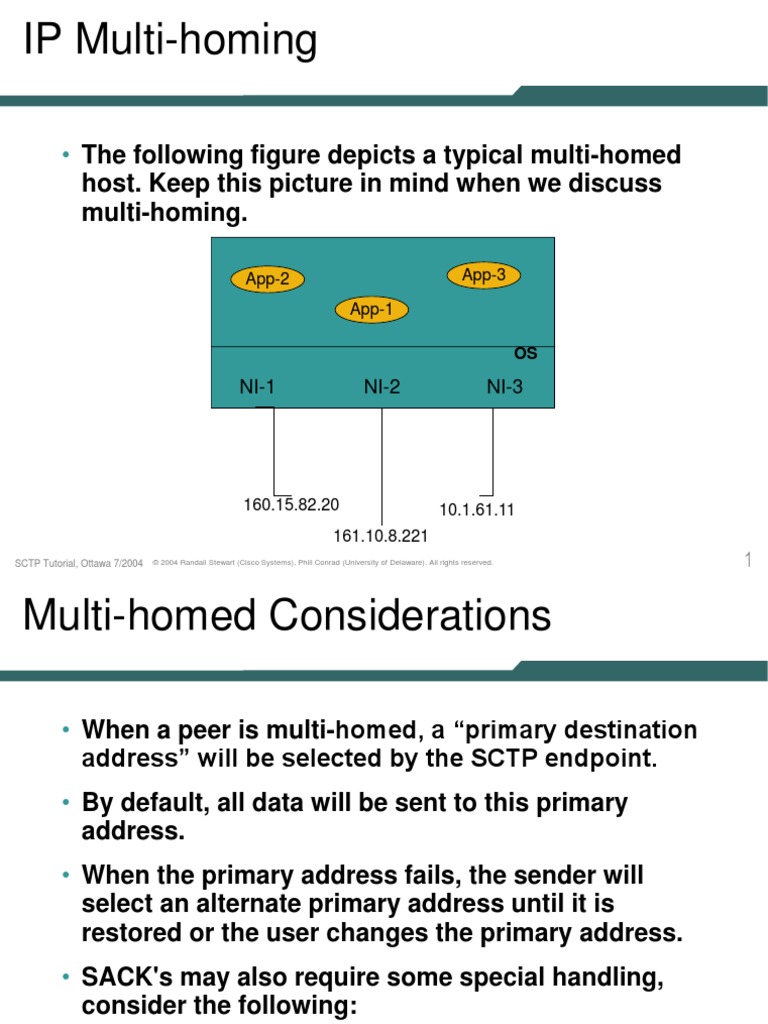 SCTP Tutorial - IP Multi-Homing | PDF | Computer Data | Internet Architecture