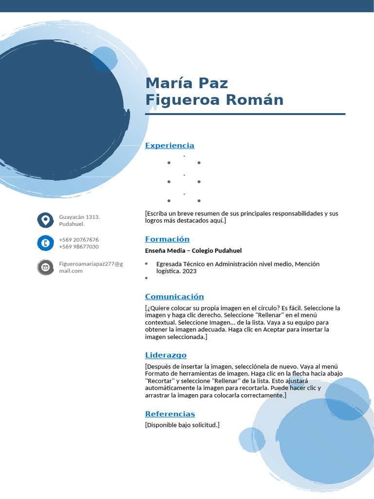 cv maria | PDF