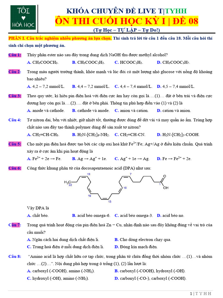 ÔN THI HỌC KỲ 1 - ĐỀ 08 - File đề | PDF