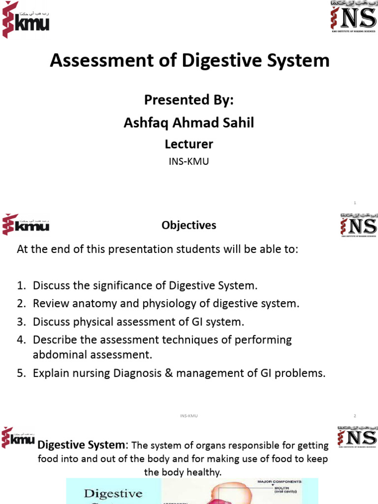 Digestive System Assessment Guide | PDF | Digestion | Medical Specialties