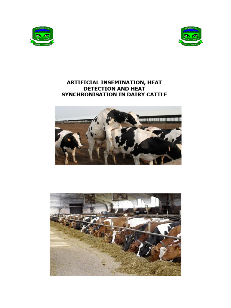 Dairy Cattle Breeding Notes | PDF | Dairy Cattle | Cattle