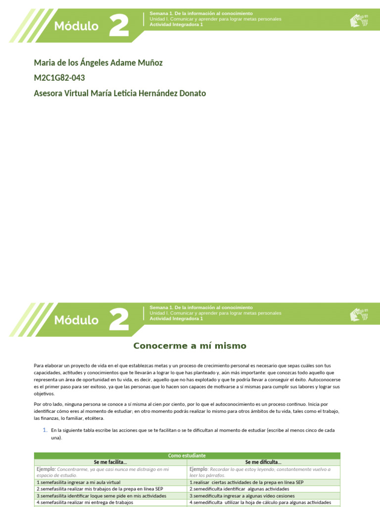 Maria de los Ángeles Adame Muñoz M02S1AI1 | PDF