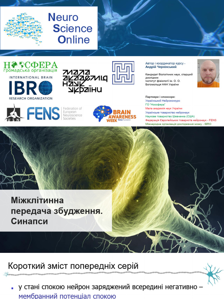12. Робота синапсів | PDF
