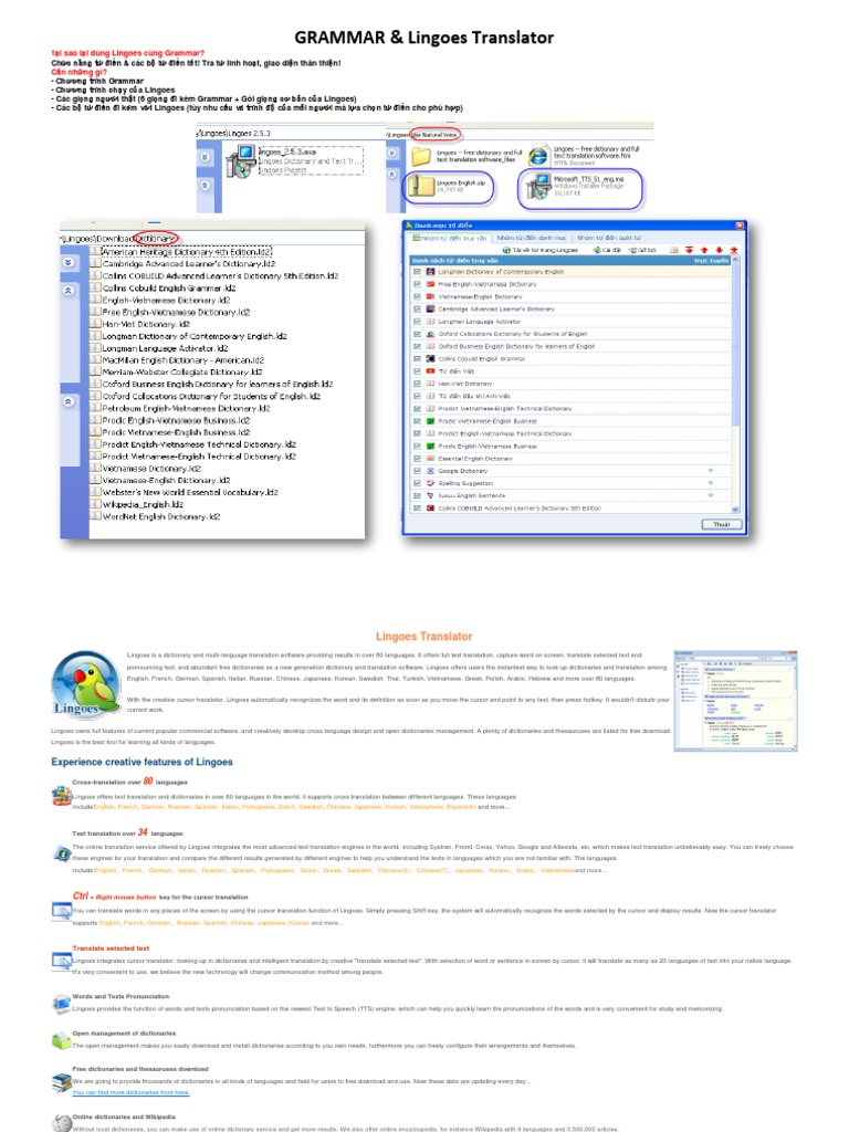 Lingoes Grammar | PDF | Speech Synthesis | Translations