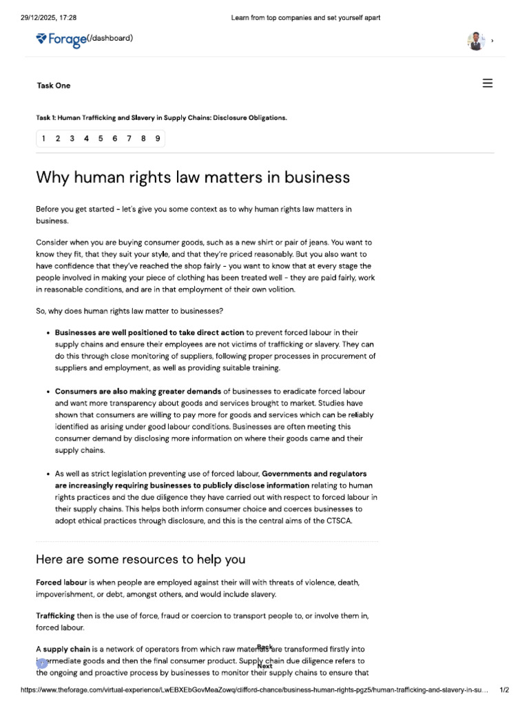 Why Human Rights Law Matters in Business | PDF
