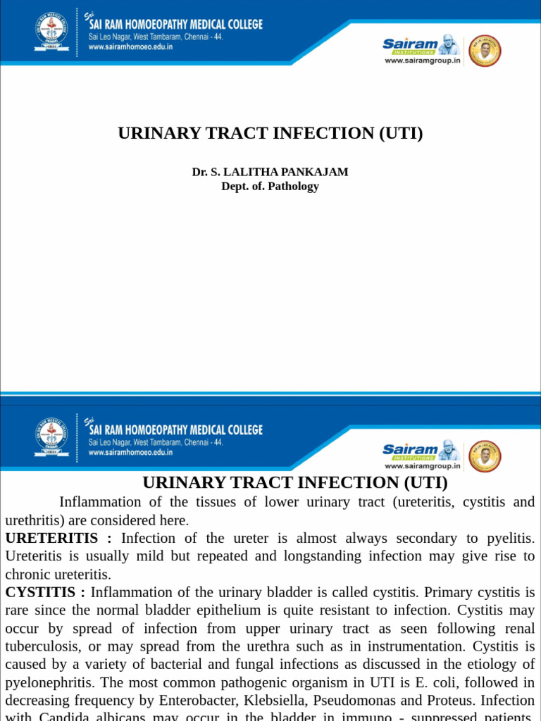5. UTI of Kidney | PDF | Urinary Tract Infection | Medical Specialties