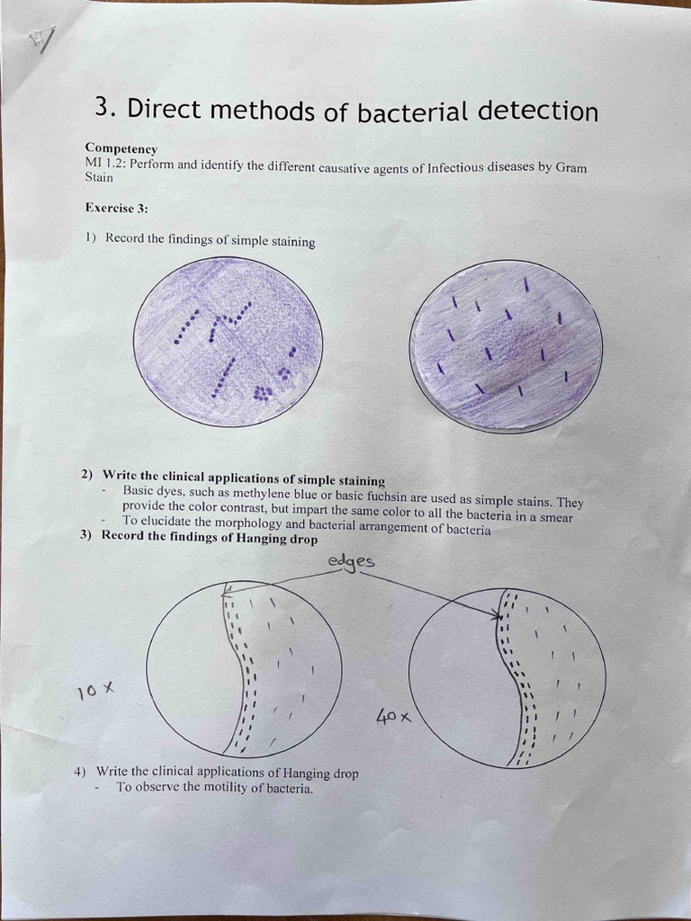 Microbiology Practical 3 | PDF | Gram Positive Bacteria | Staining