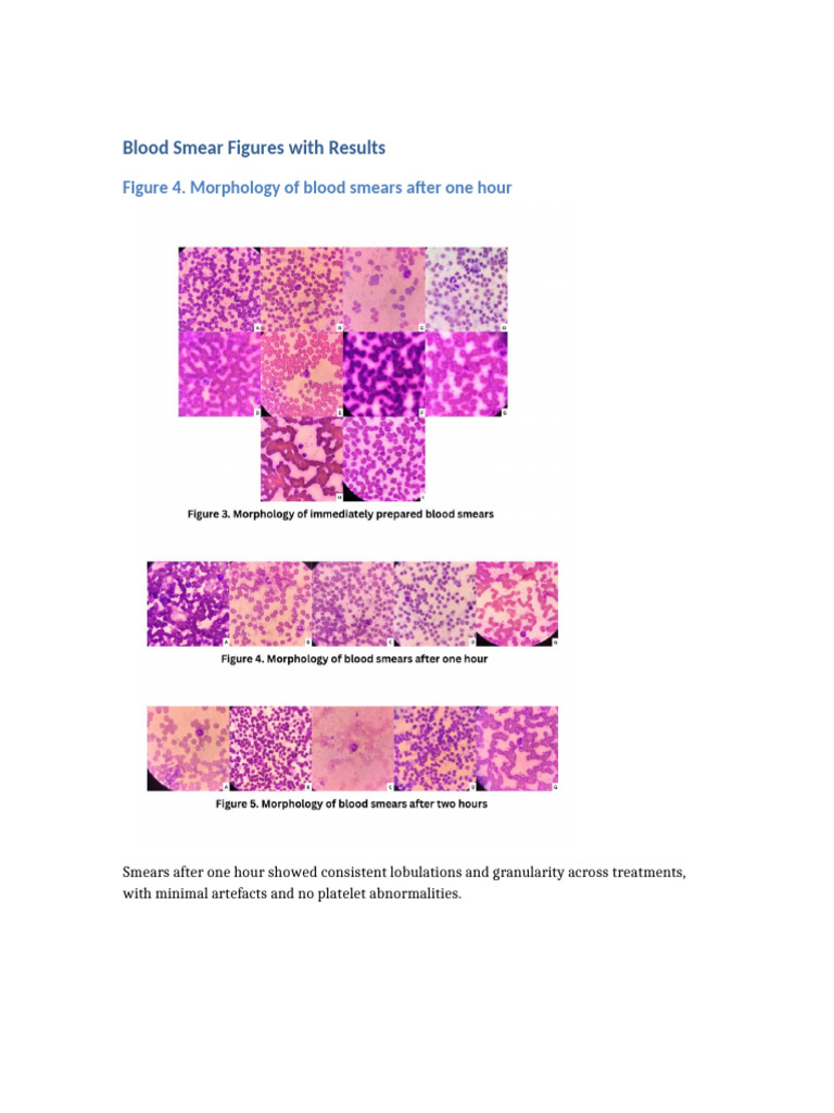 Blood Smear Figures (1) | PDF