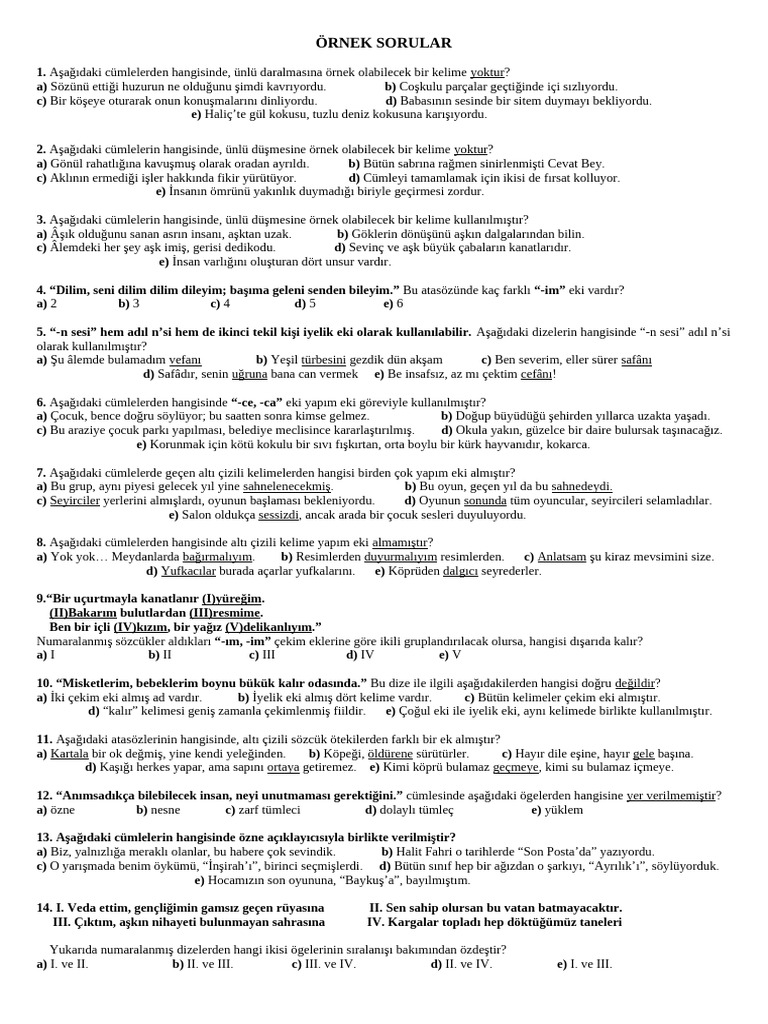 Di̇lbi̇gi̇si̇ Örnek Testler | PDF