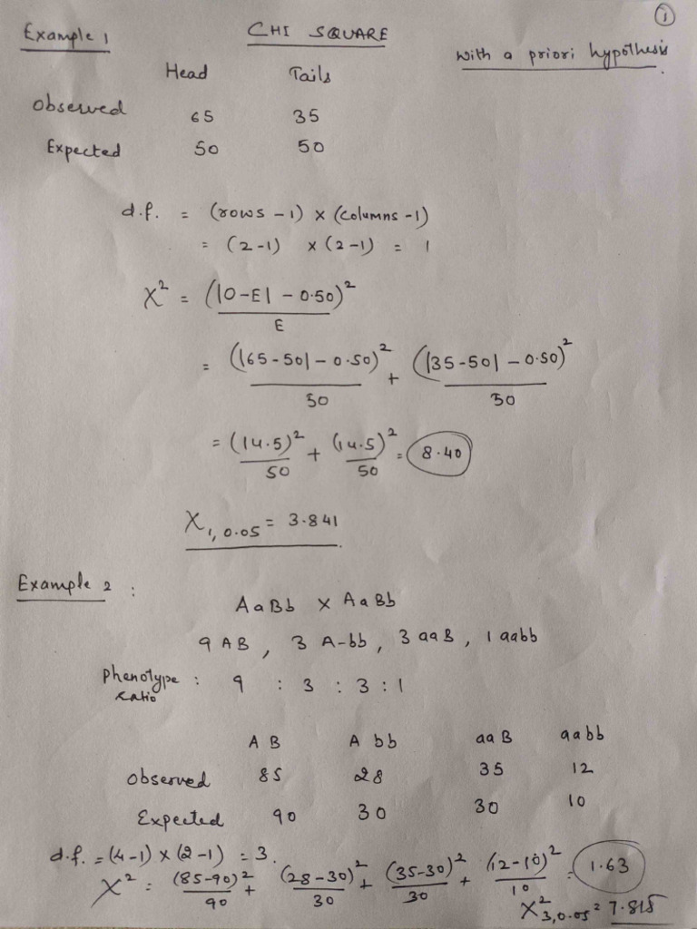Chi Square | PDF