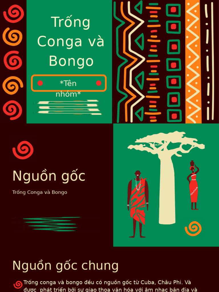Trống Conga Và Bongo | PDF