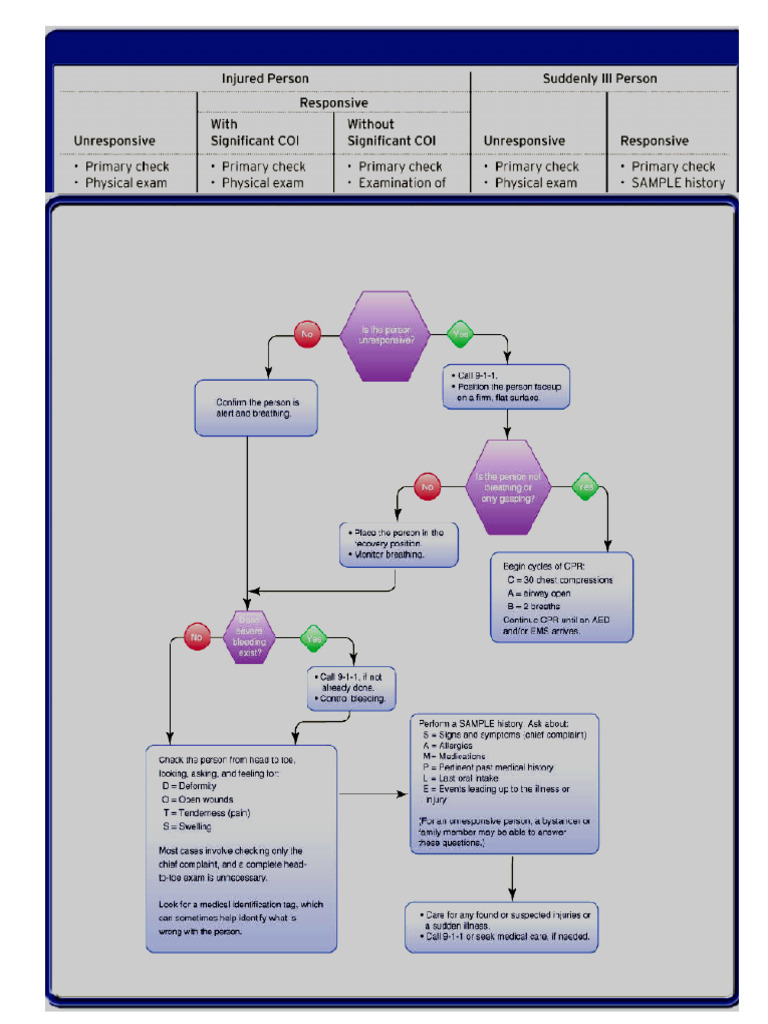 Chapter 4 - Assessment Flowchart | PDF