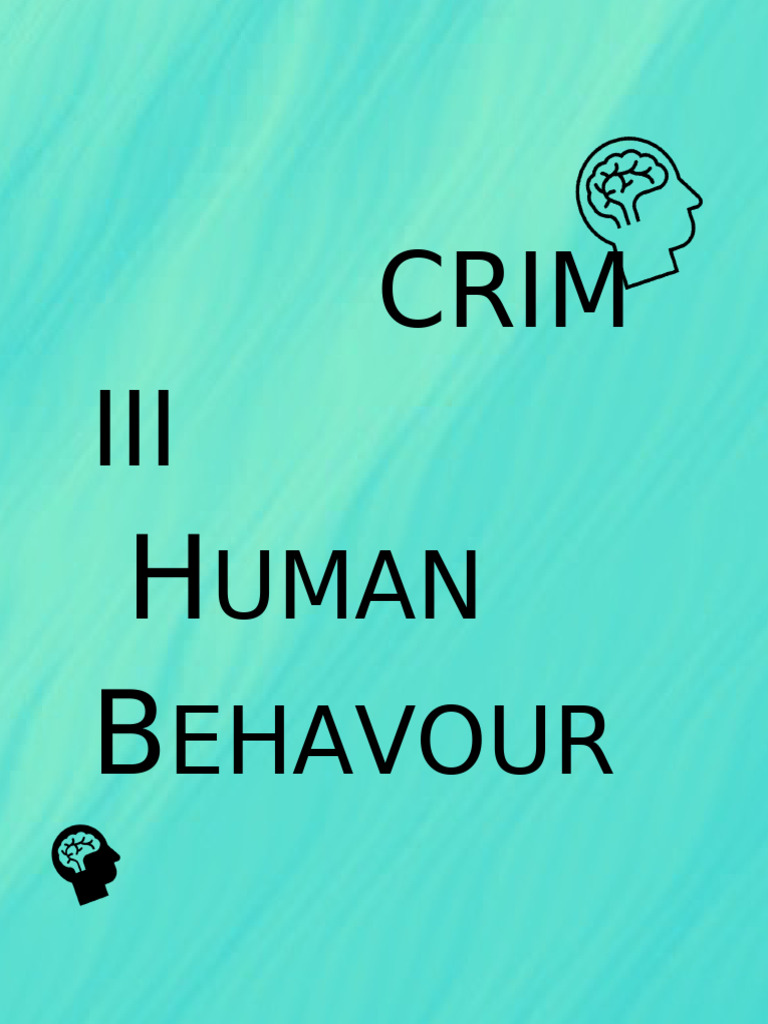 Crim Portfolio | PDF