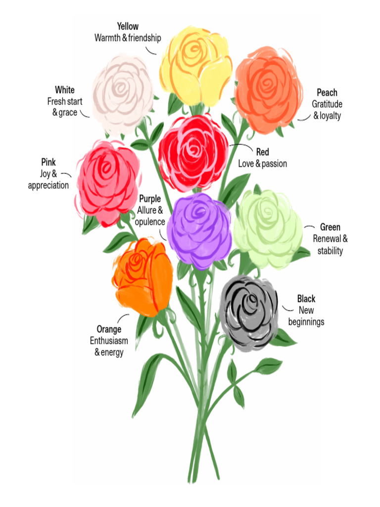 Roses Infographic | PDF