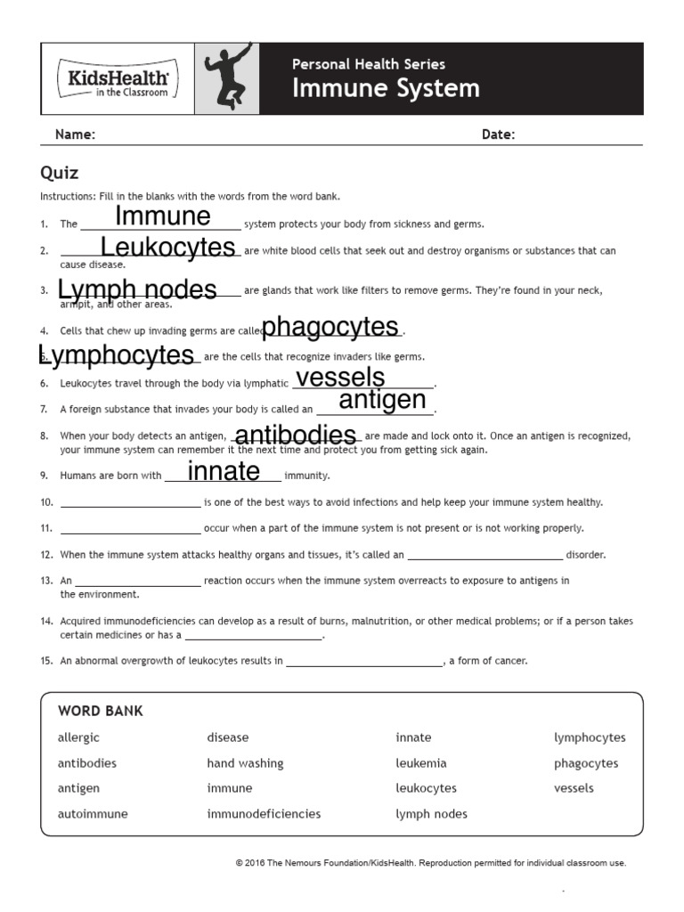 Immune System Worksheet | PDF | Immune System | White Blood Cell