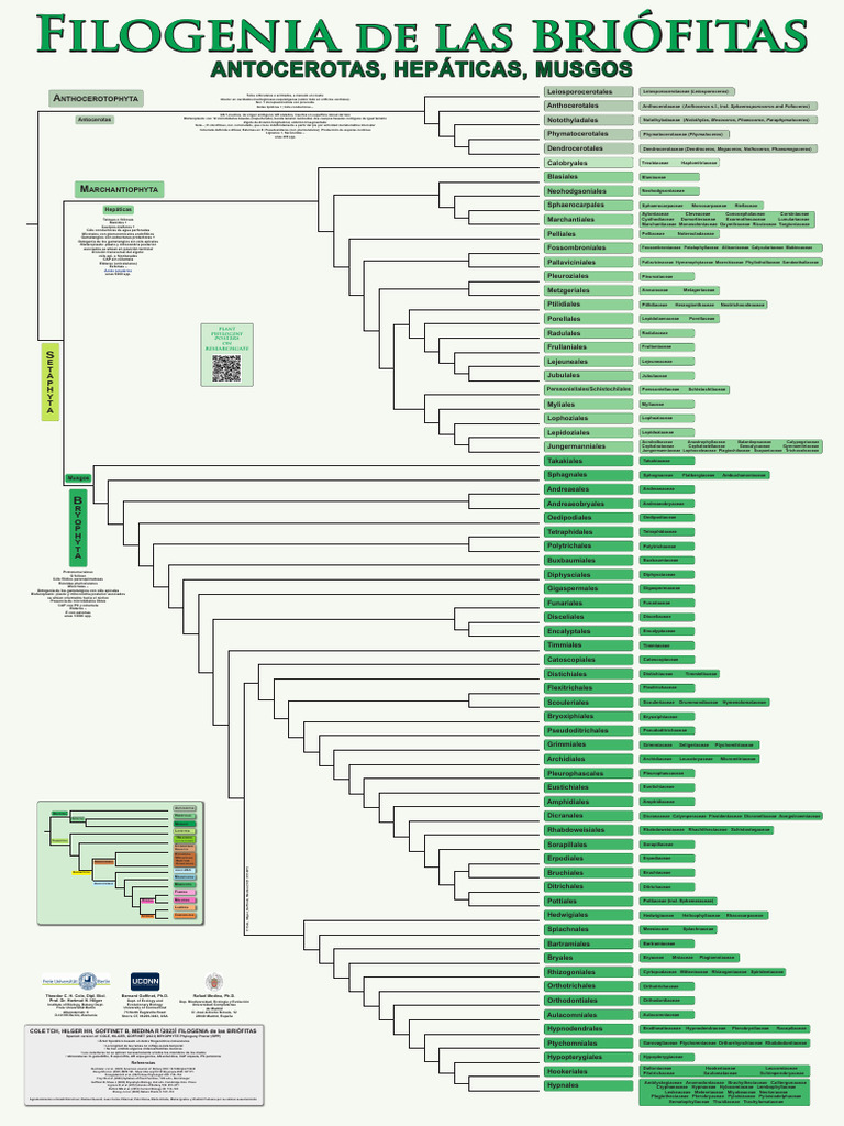 BPP-ES-2023-V1a | PDF | Organismos | Botánica