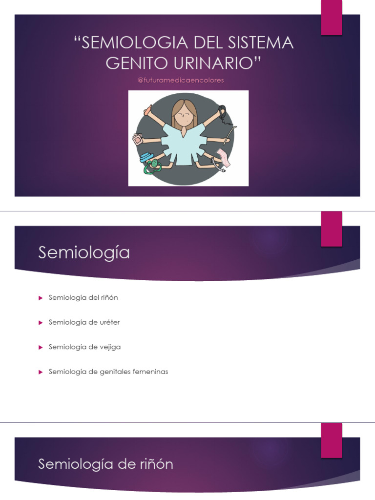 Semiologia Del Sistema Genito Urinario | PDF