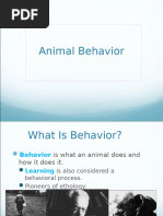 Courtship Behaviors in Animals Explained | PDF | Male | Behavior
