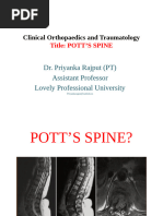 Porcine Carcass and Cut Descriptions | PDF | Vertebra | Shoulder